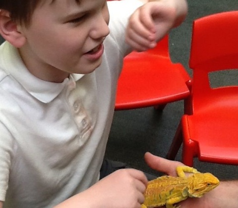 Ifield School - Home